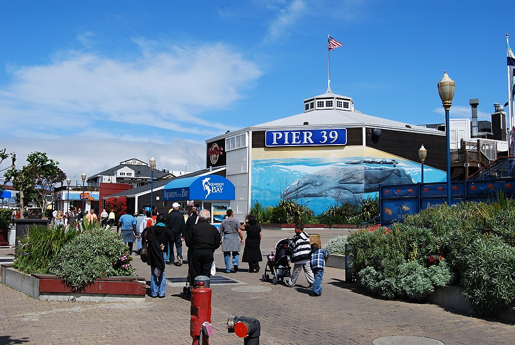Ex-Marine gets 15 years in prison for plotting terror attack at Pier 39 ...