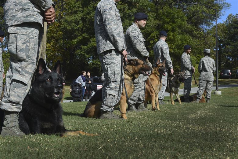 Wounded Iraq War vet with PTSD sues over German shepherd service dog ...