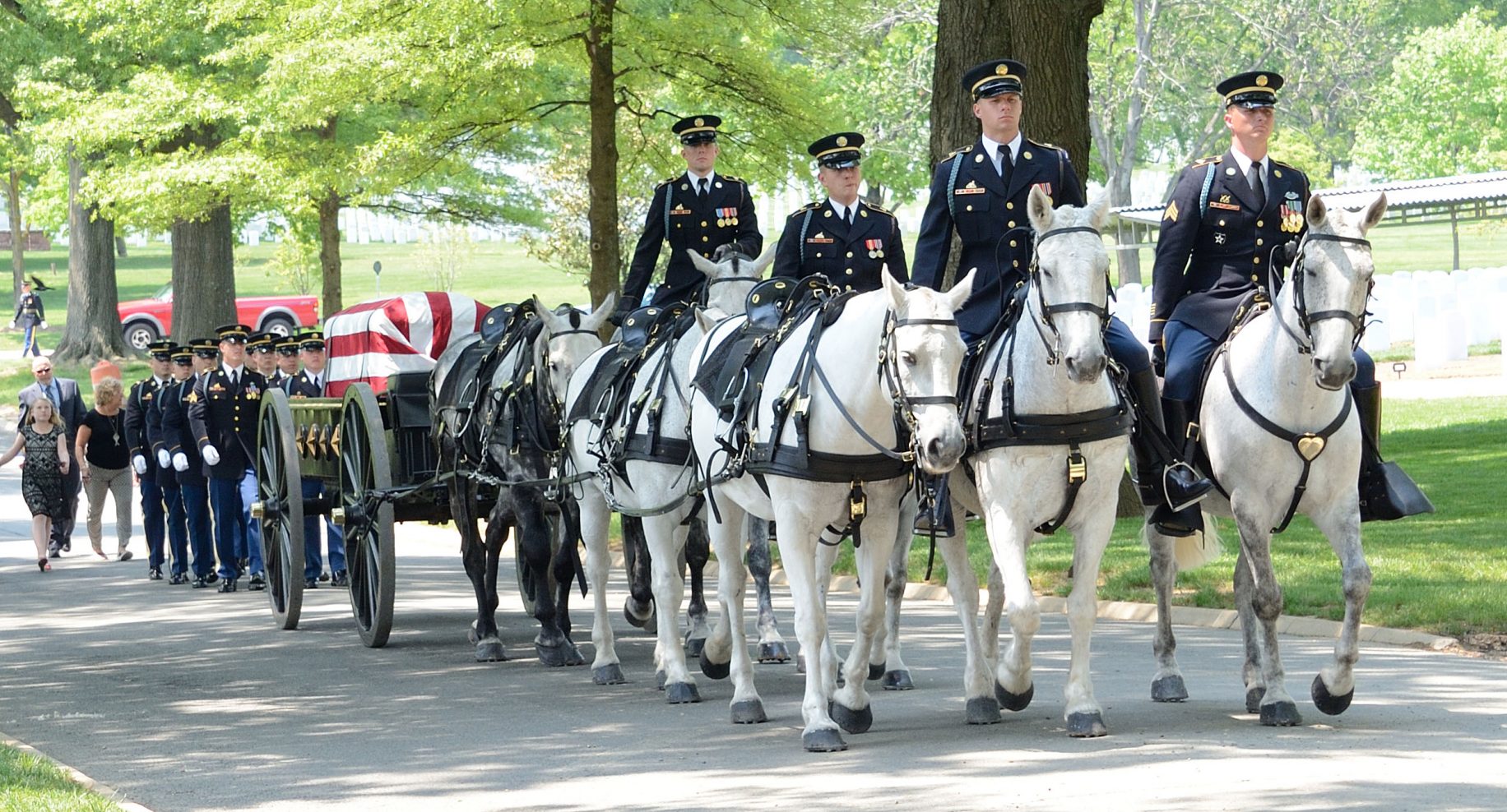 Caisson Platoon horse retires to loving Wisconsin home | American ...