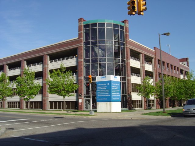VIDEO: Detroit parade honoring health care workers featured Black Hawk ...