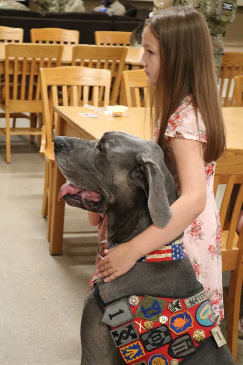 Pics: Two hero dogs recognized for supporting US troops