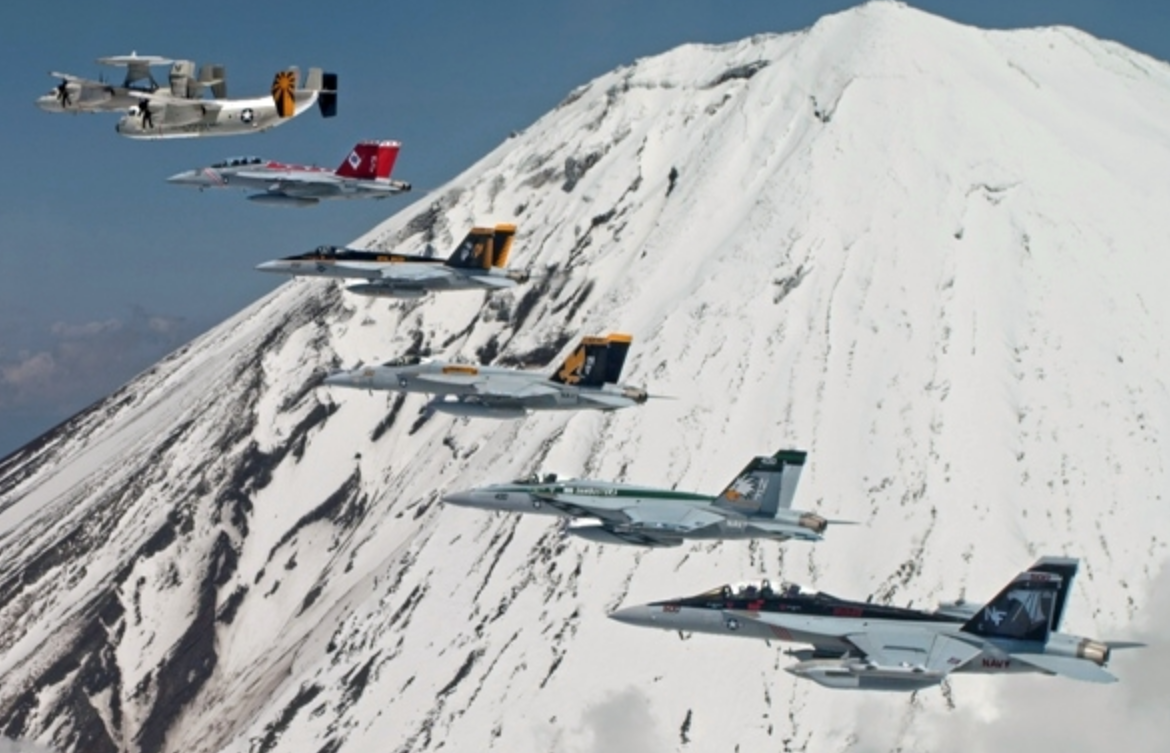 Birdwatcher finds unexploded US WWII tank shell