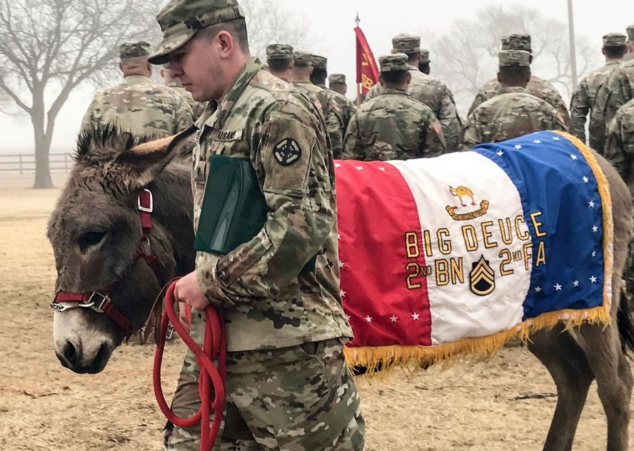 'A sense of pride': Army mascots, a donkey and goat, promoted at Fort ...
