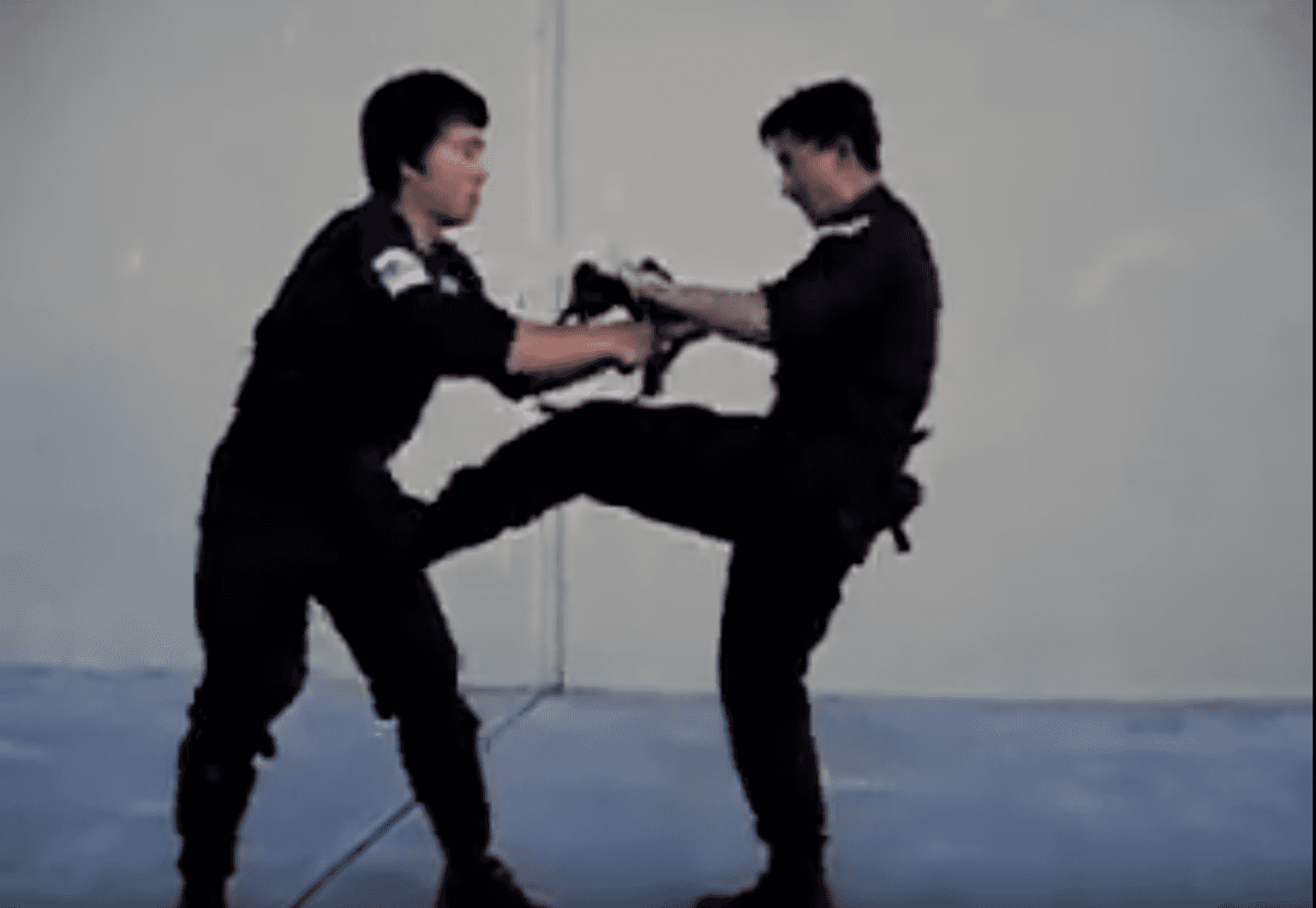 Self defense video on how to thwart a rifle being pointed at you from ...