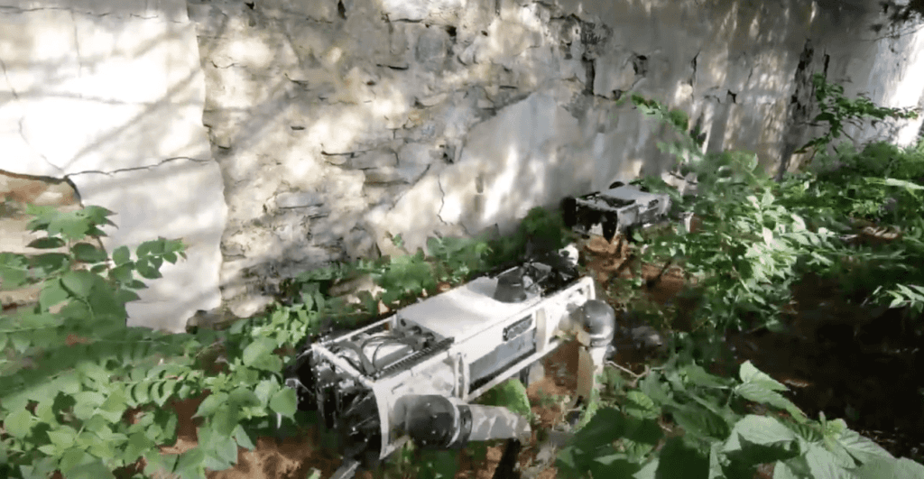 Watch the Air Force test 'Robot Dogs' for security use | American ...