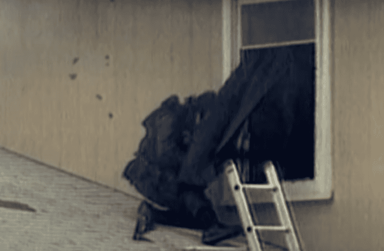 Pics/Video: 51-day Waco siege began with deadly ATF shootout 28 years ago