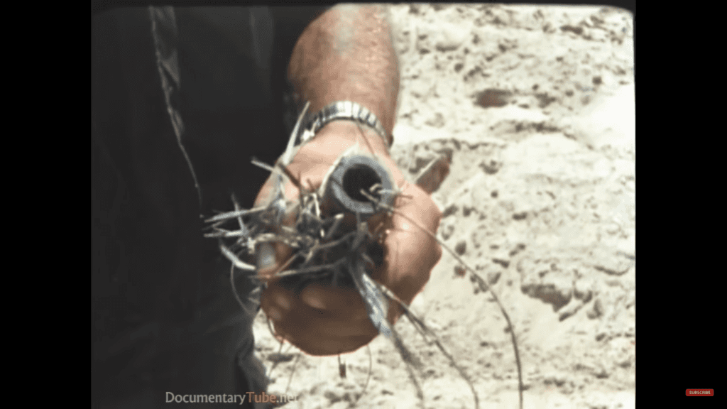 See some of the worst booby traps & snares North Vietnam unleashed on ...