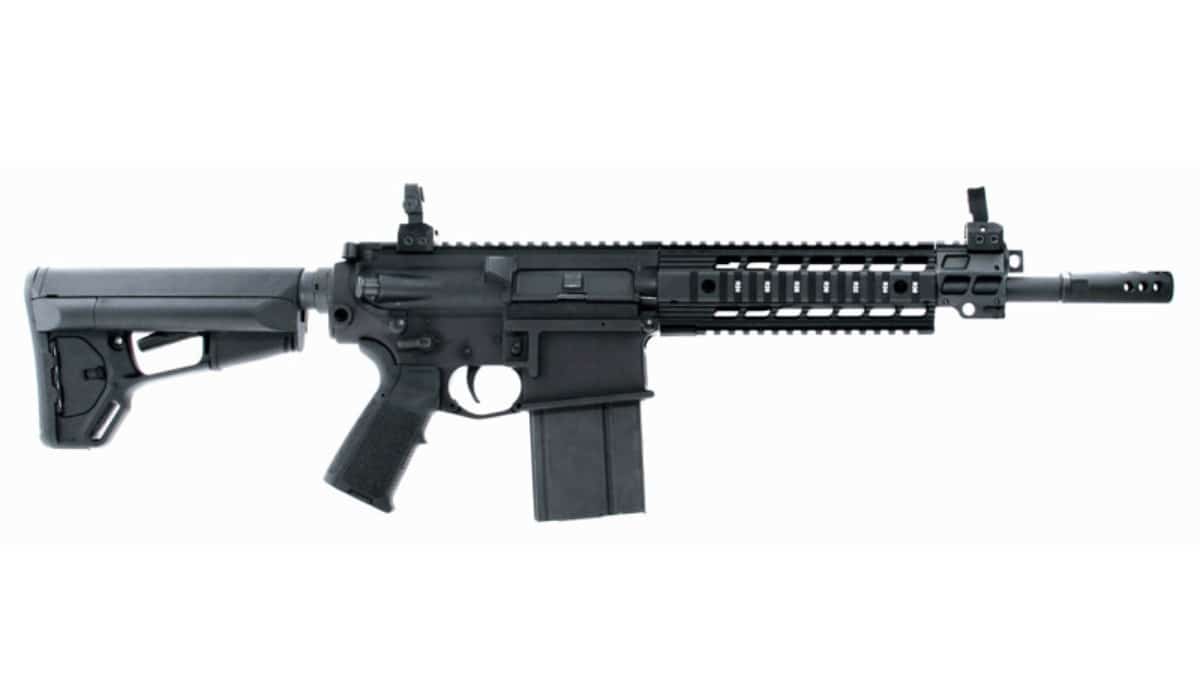 Indian Army adds thousands of new SIG716 rifles to its arsenal ...