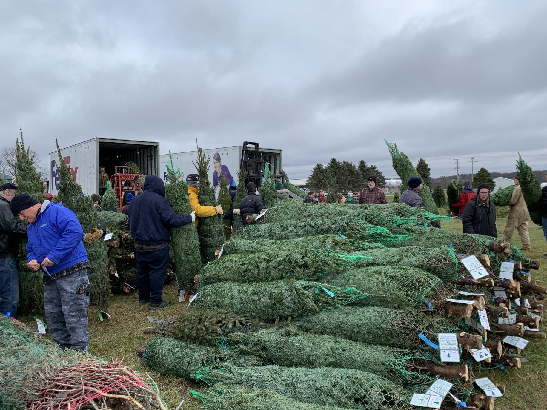 PHOTOS: 500 Christmas trees sent to military families through volunteer ...