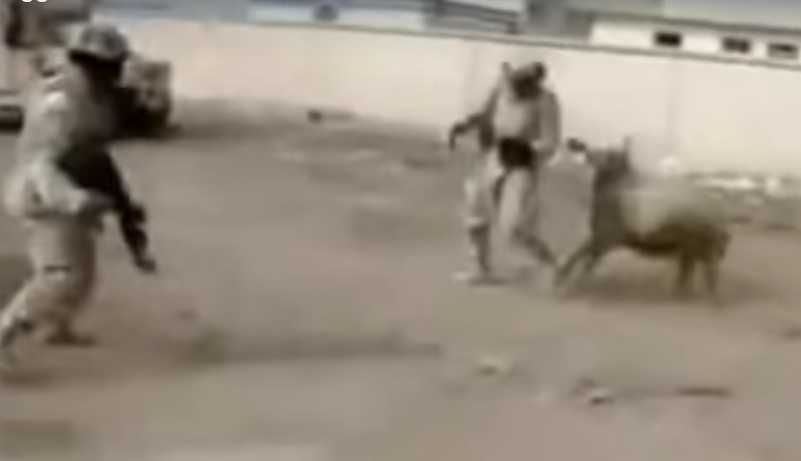 Watch these 55 huge military fails and wins (yes, some include missiles ...