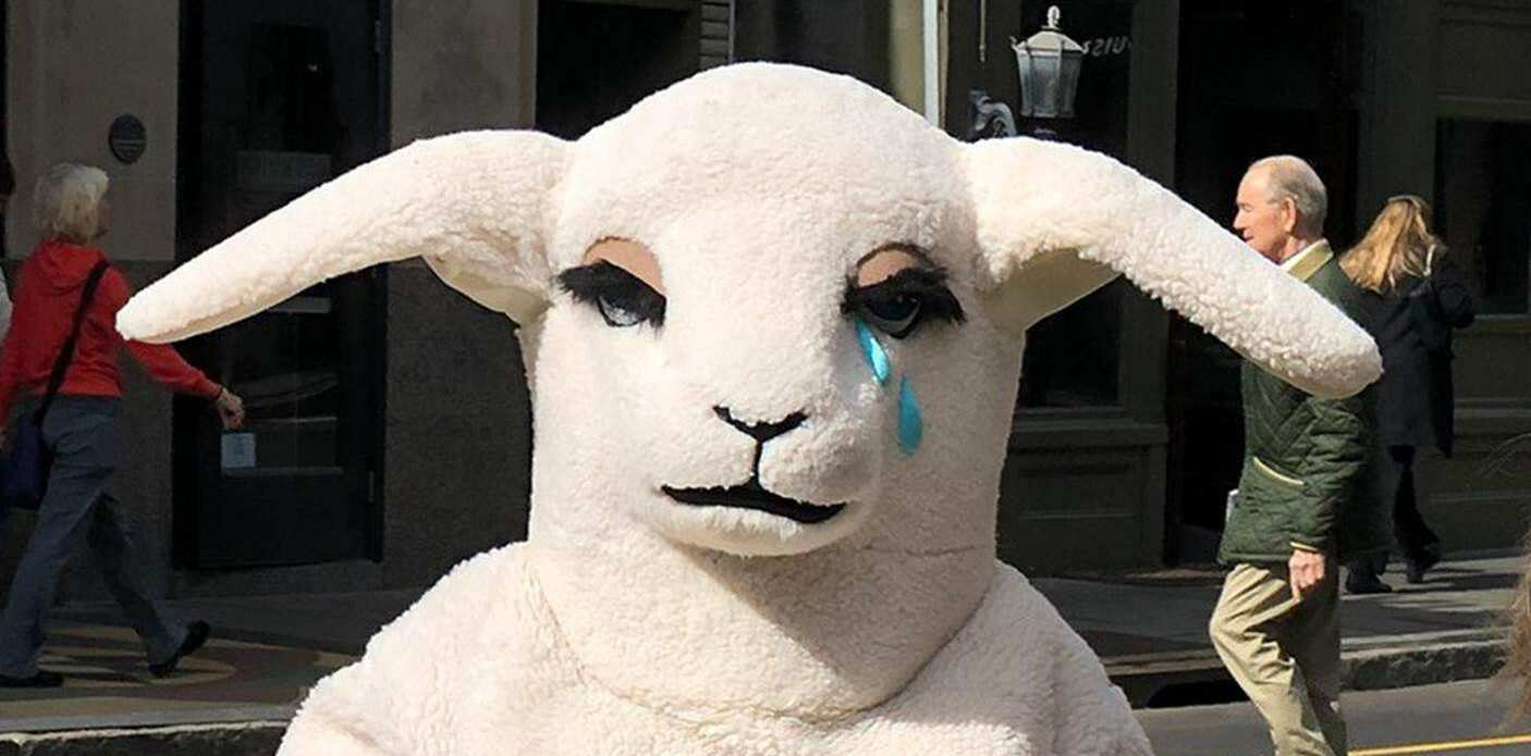 PIC: PETA to protest with 'giant sheep' at Navy event to stop animal ...